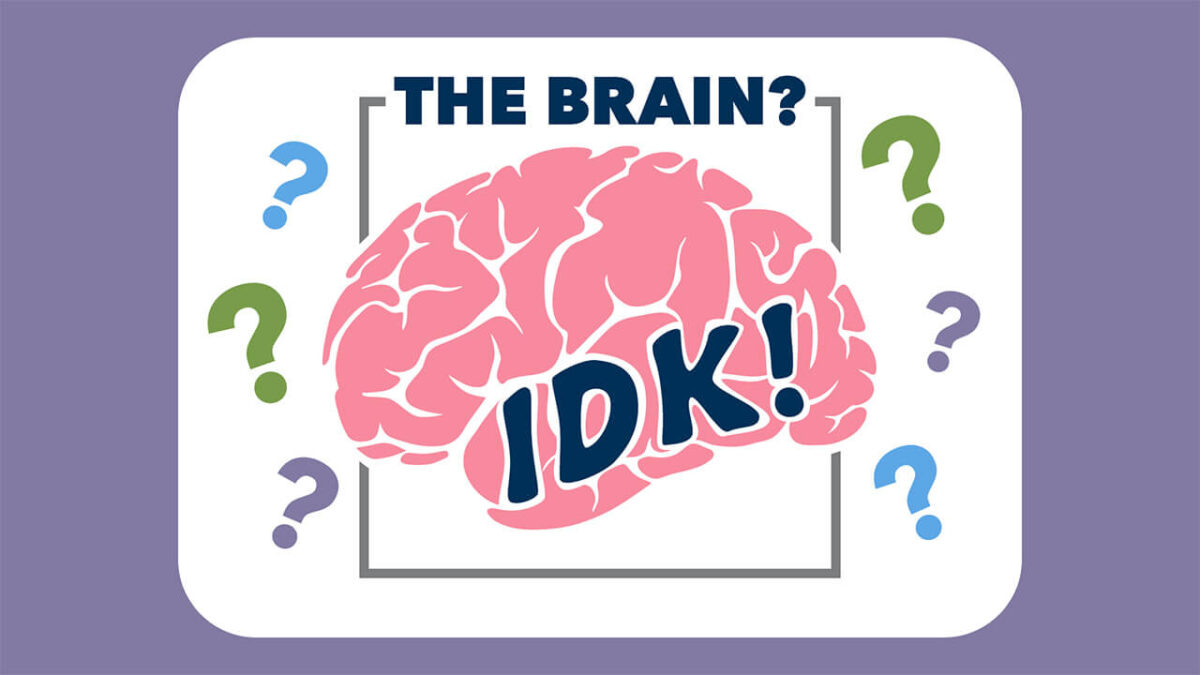 The Brain? IDK! What We Know and Don’t Know About Brain Cells ...